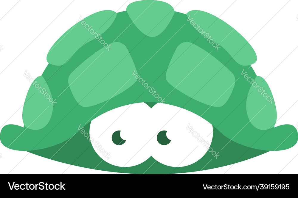 Green sea turtle on a white background Royalty Free Vector