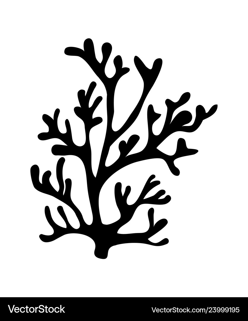 Red algae silhouette symbol icon design beautiful Vector Image