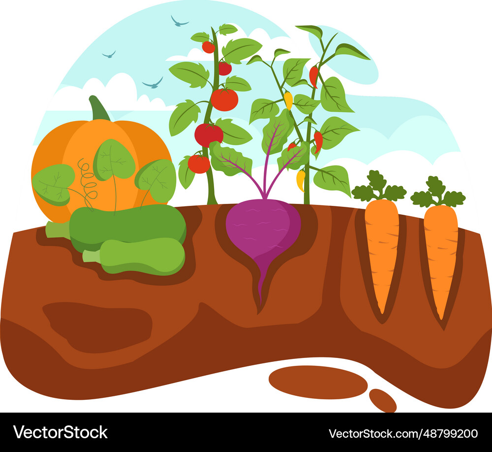 Growing vegetables with harvest farming various Vector Image