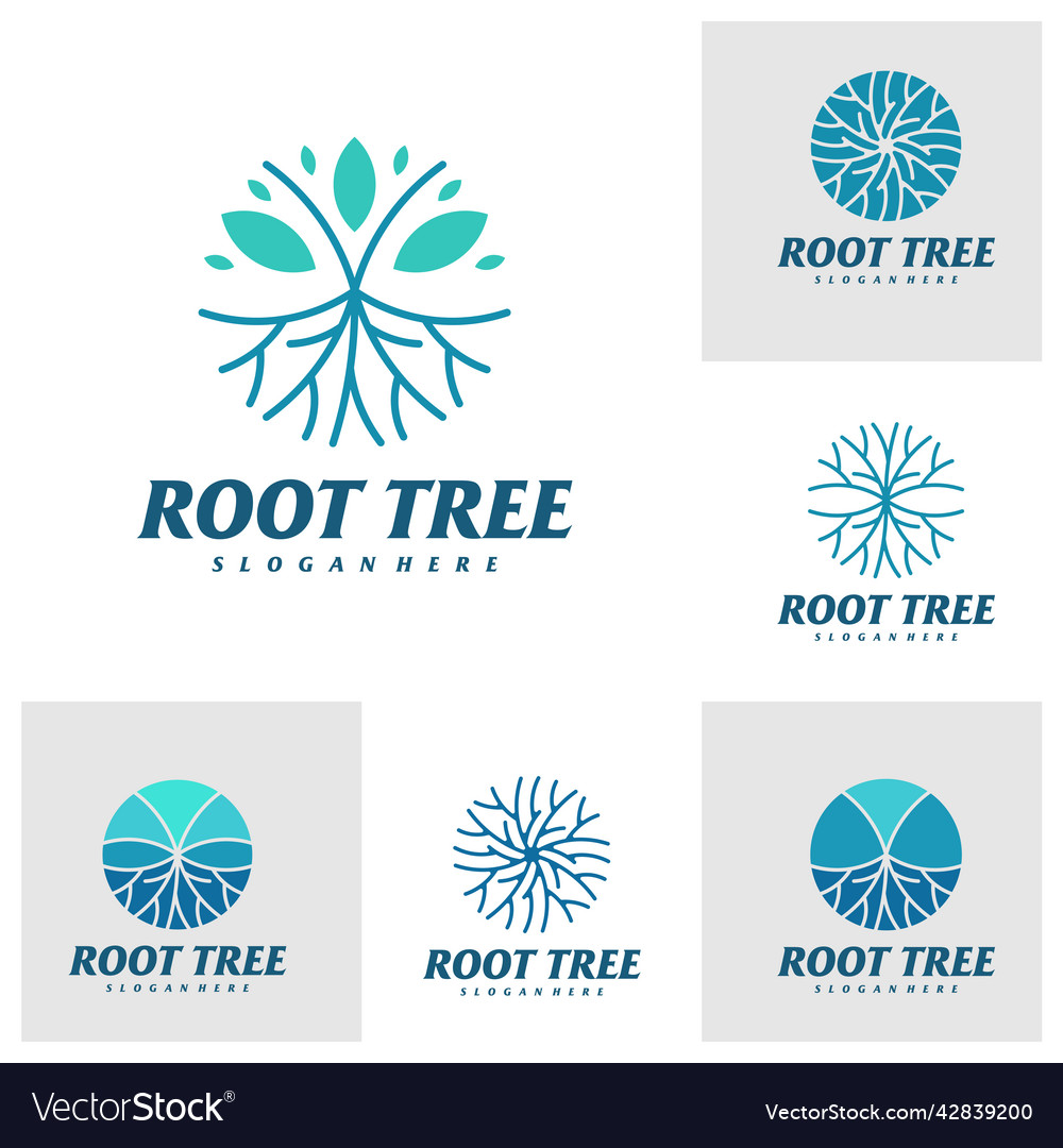 Set of tree root logo design template Royalty Free Vector