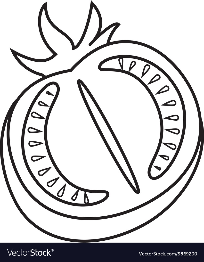 Tomato vegetable half Royalty Free Vector Image