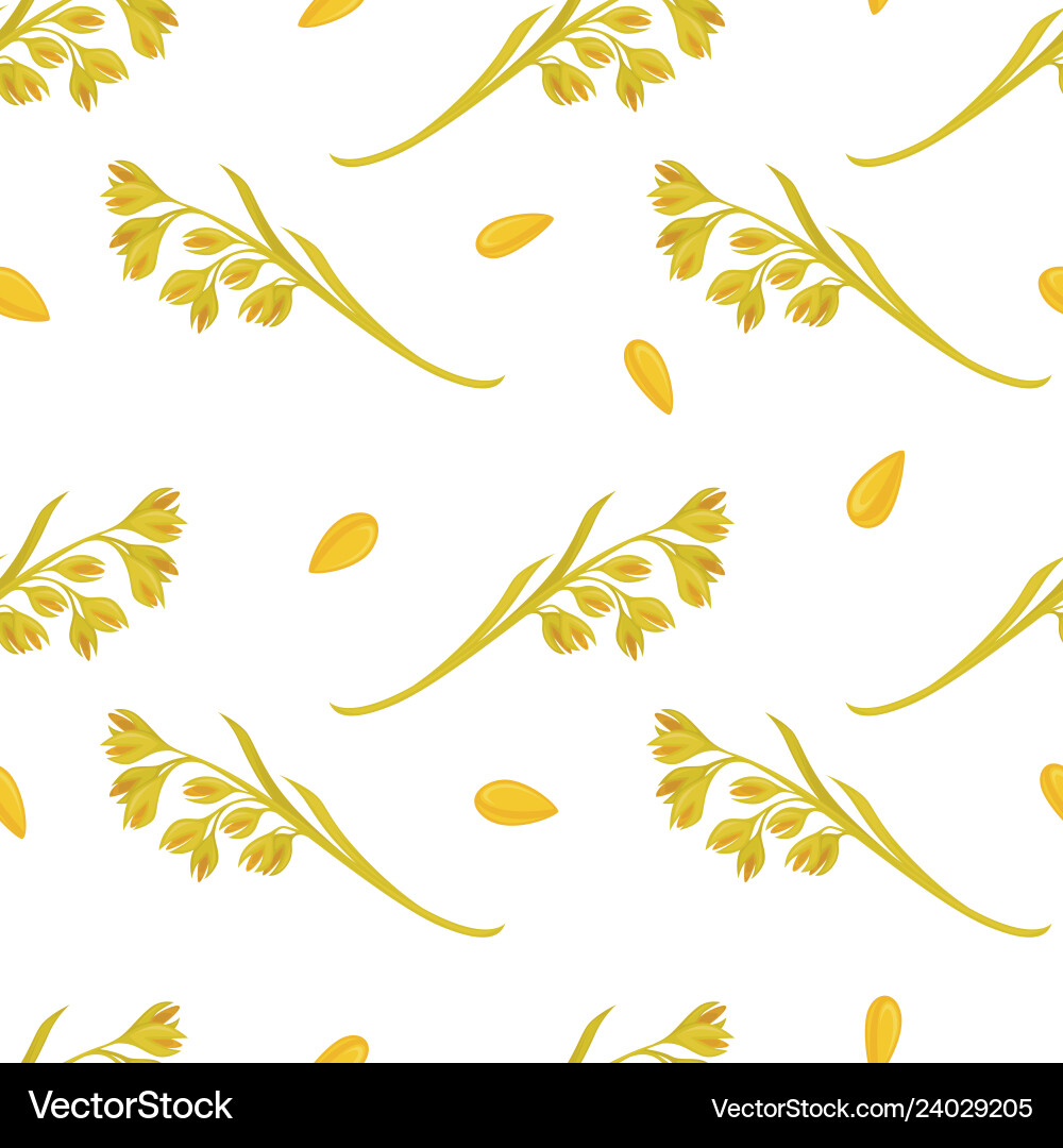 Oat ears of grain seamless pattern on white Vector Image