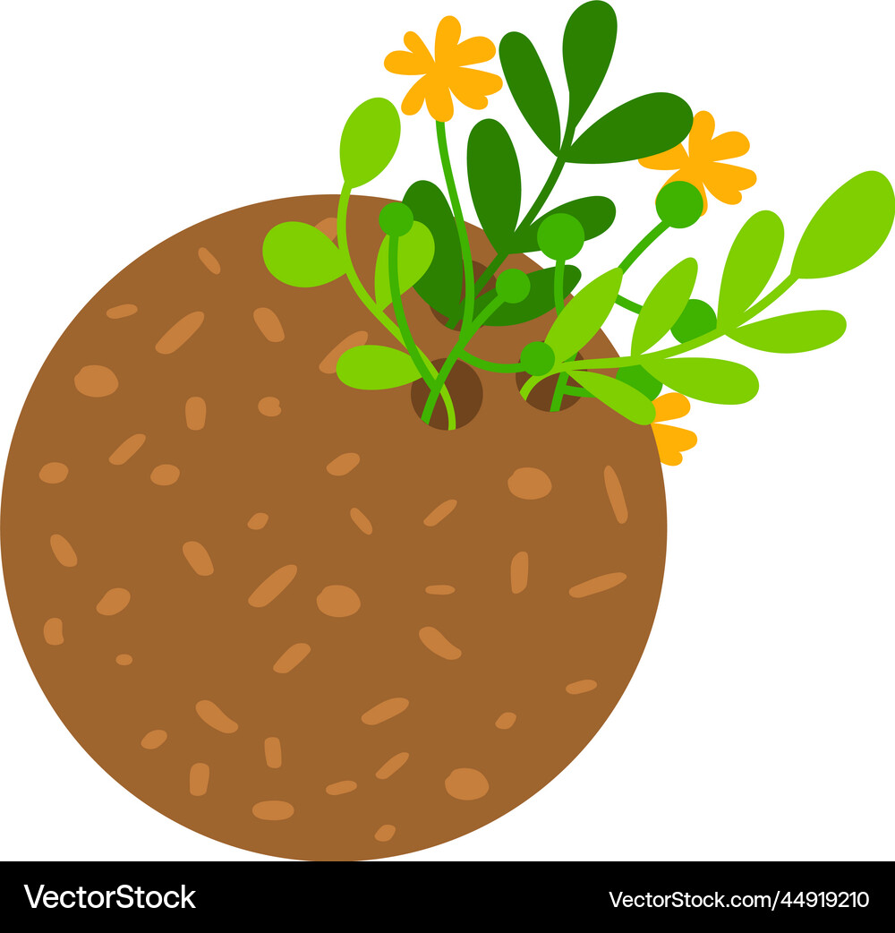 Nature garden ground with growing plant Royalty Free Vector
