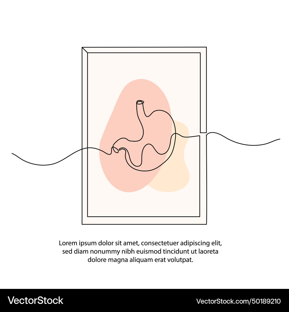 One line stomatch human organ poster drawing Vector Image