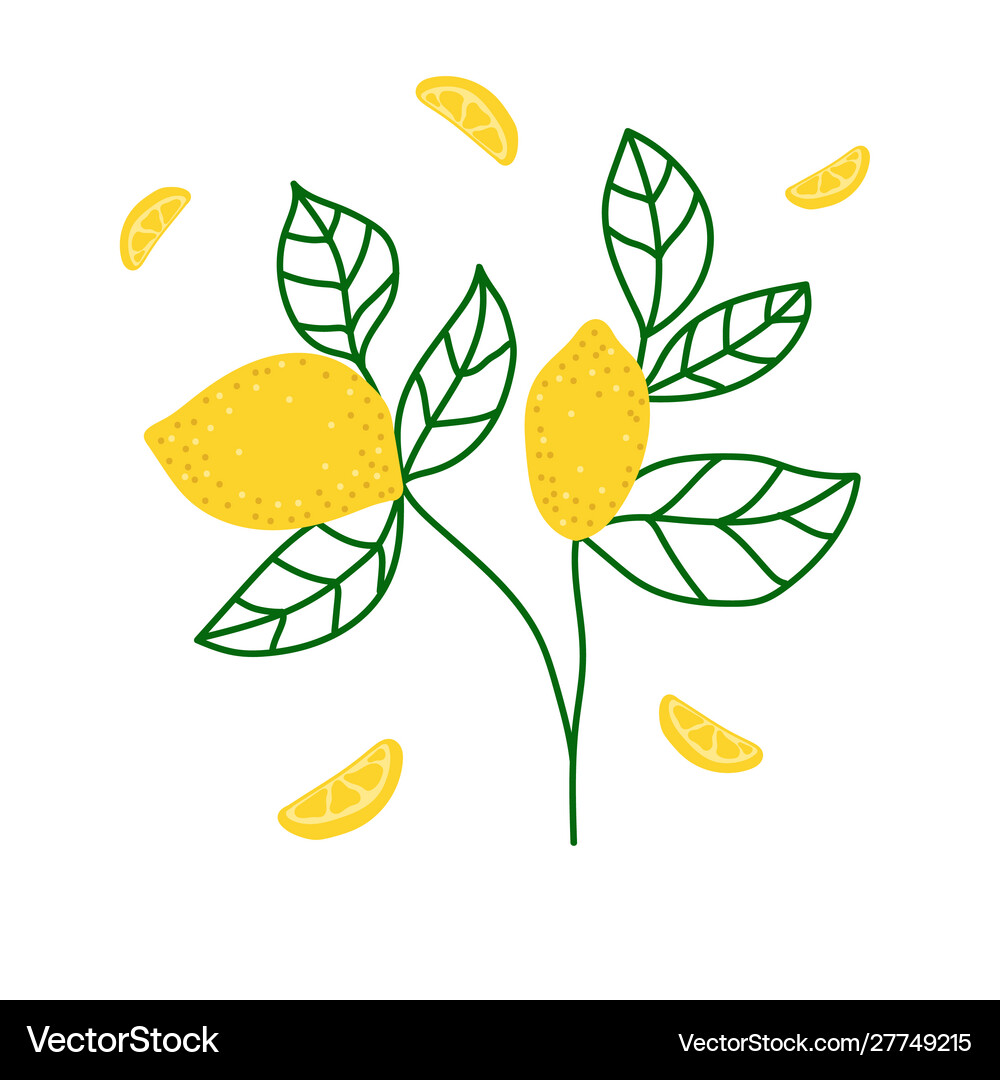 Flat with yellow lemons hand drawn lemon on white Vector Image