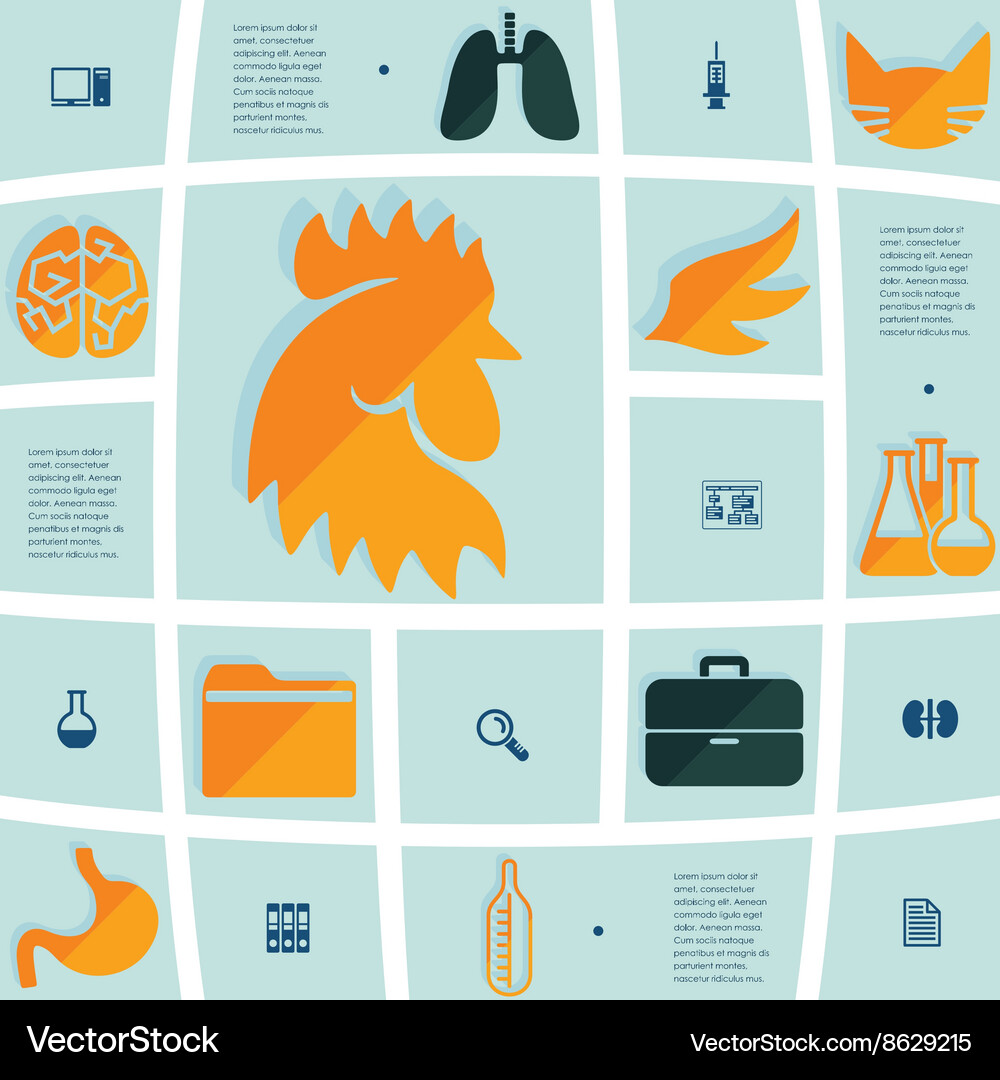 Veterinary flat infographic Royalty Free Vector Image
