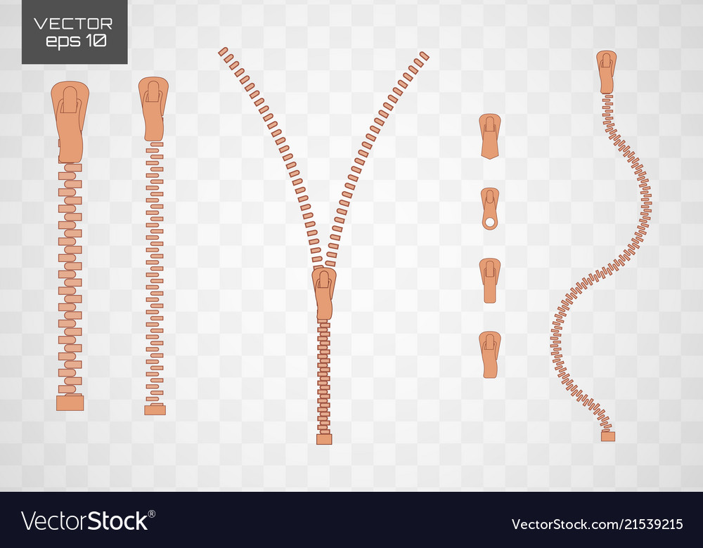Zipper buttoned flat style Royalty Free Vector Image