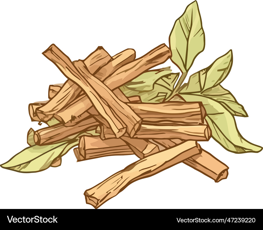 Fresh organic herbs and spices Royalty Free Vector Image