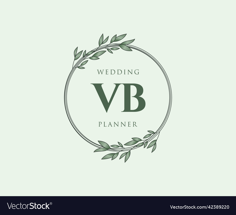 Vb initials letter wedding monogram logos Vector Image