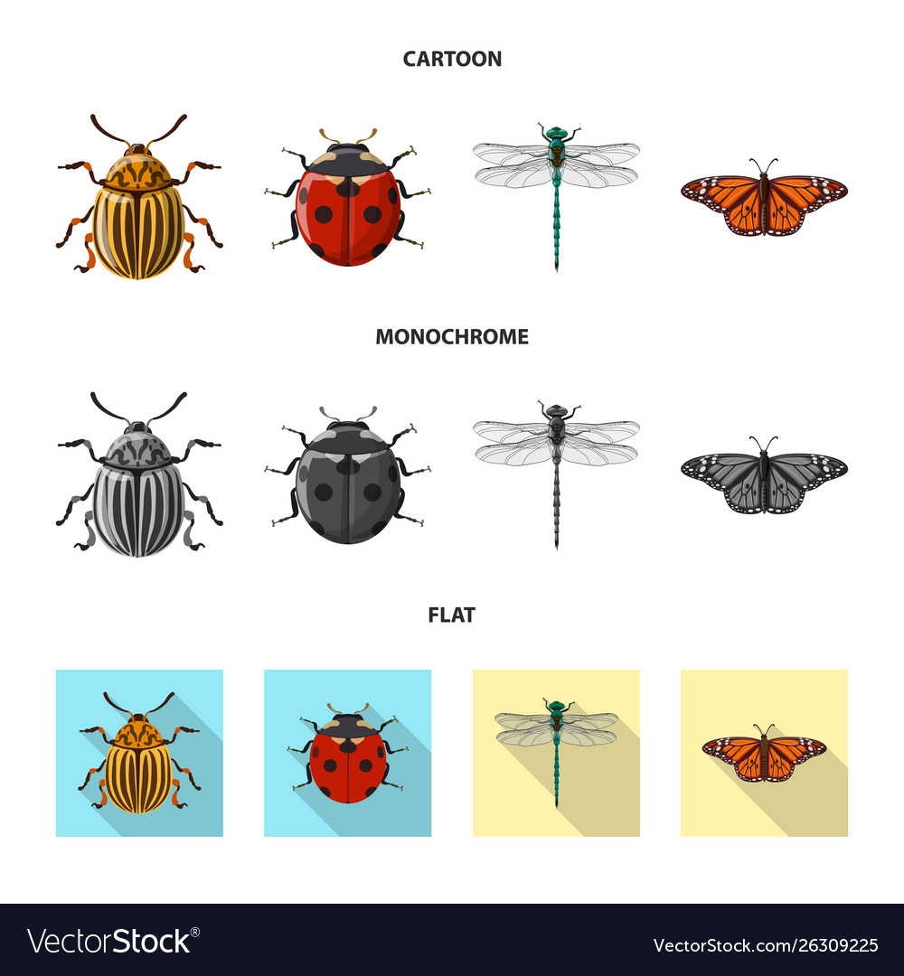 Design insect and fly sign set Royalty Free Vector Image