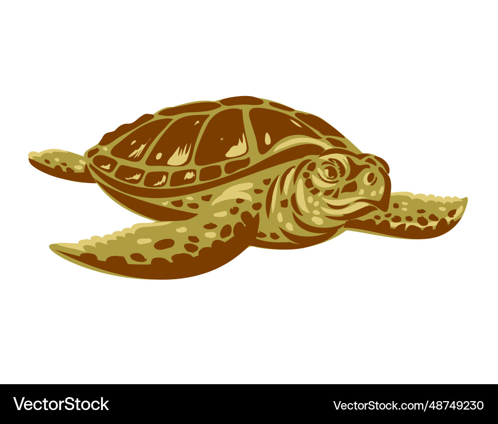 Kemps ridley sea turtle or atlantic Royalty Free Vector