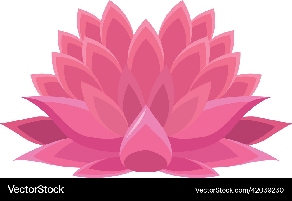 Pink lotus flower Royalty Free Vector Image - VectorStock