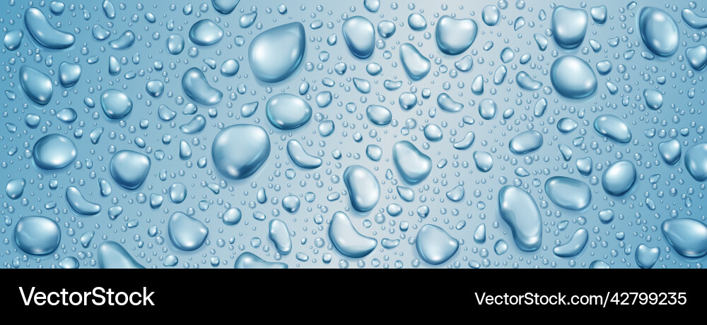Background of water drops Royalty Free Vector Image