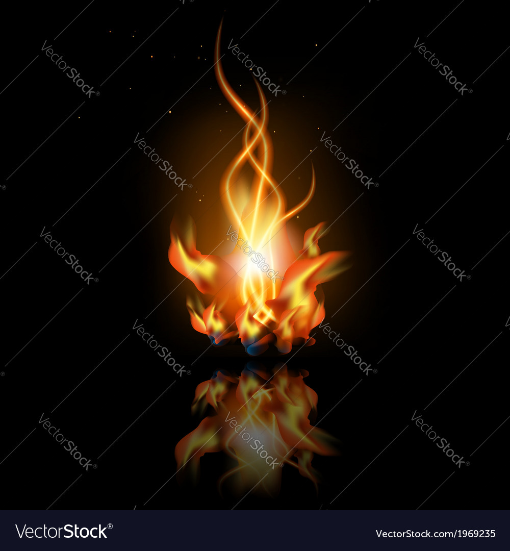 Fire with reflection Royalty Free Vector Image