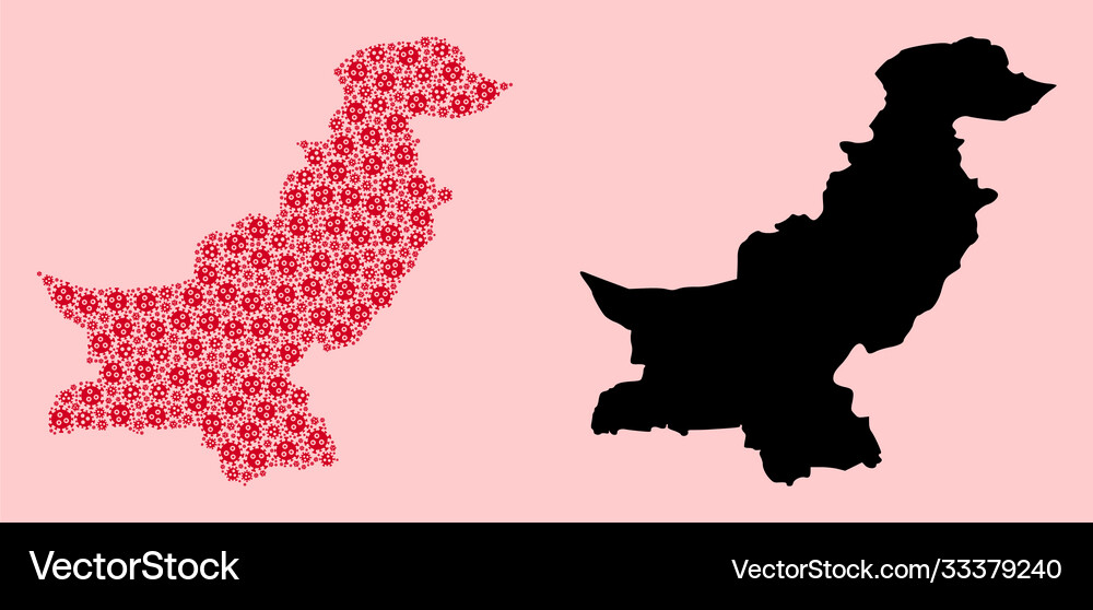 Collage map pakistan flu virus icons Royalty Free Vector