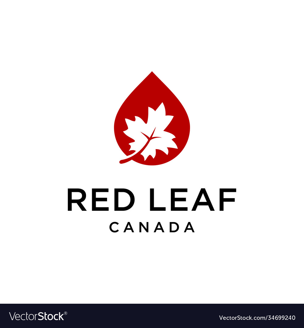 Red leaf drop Royalty Free Vector Image - VectorStock
