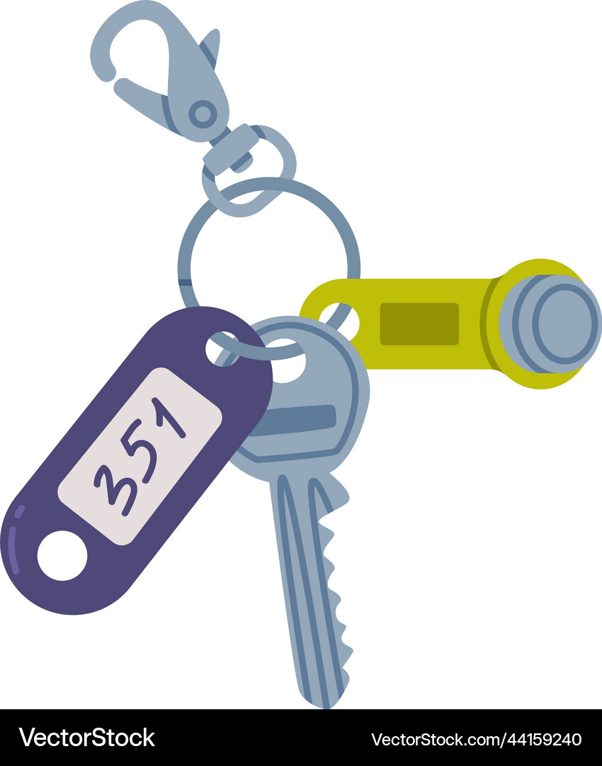 Trinket with key hanging keychain or keyring Vector Image