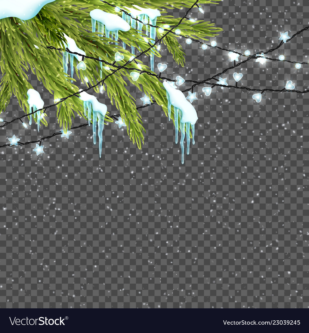 Border with realistic fir-tree snow icicles Vector Image