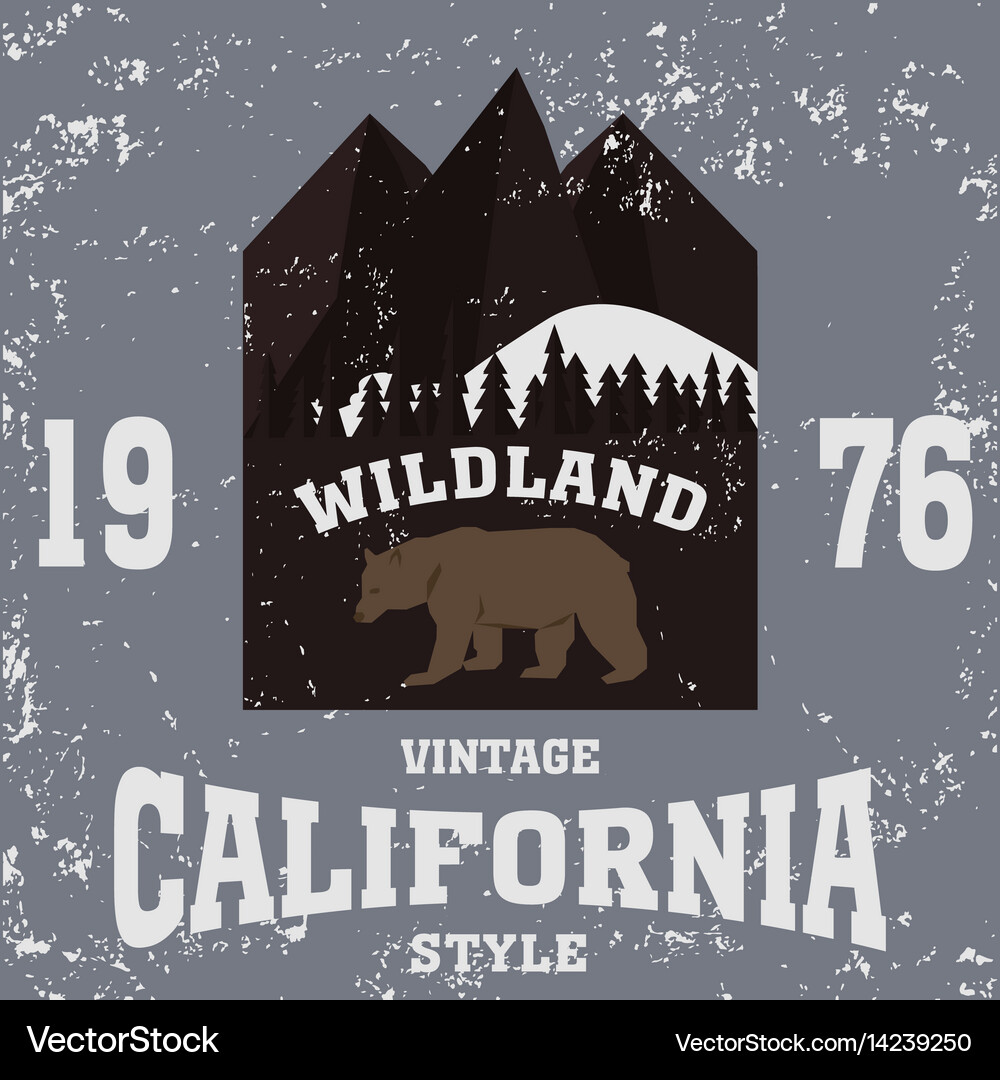 California vintage style Royalty Free Vector Image