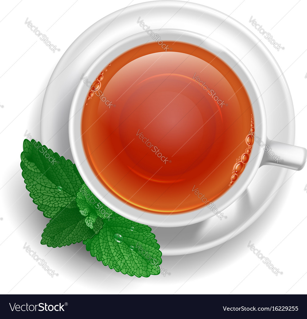 Tea cup Royalty Free Vector Image - VectorStock
