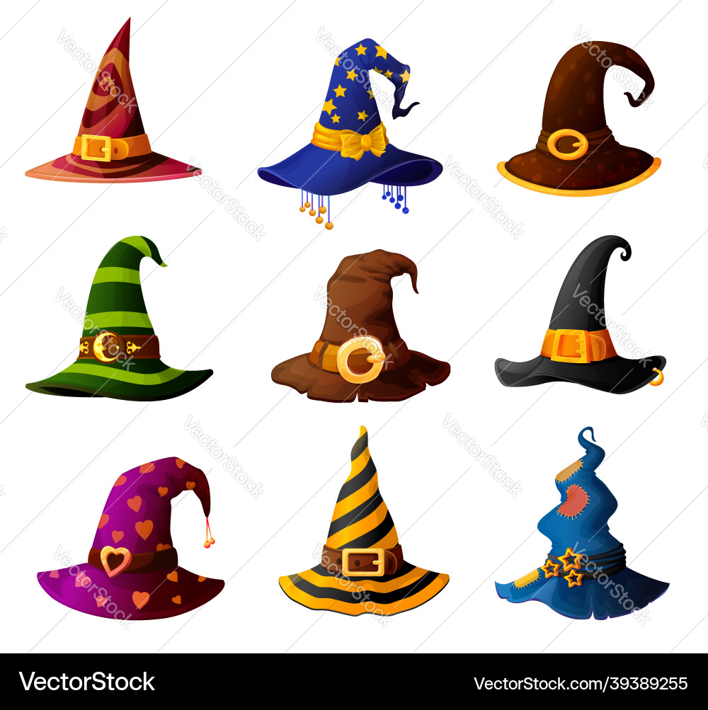 Witch magician wizard or warlock halloween hats Vector Image