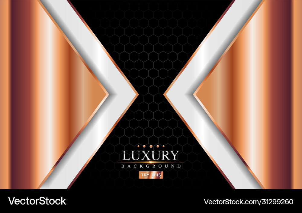 Luxury white and black modern background Vector Image