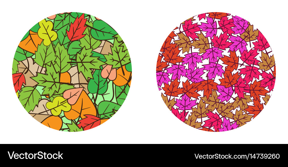 Set summer autumn fall minimal design leaves Vector Image