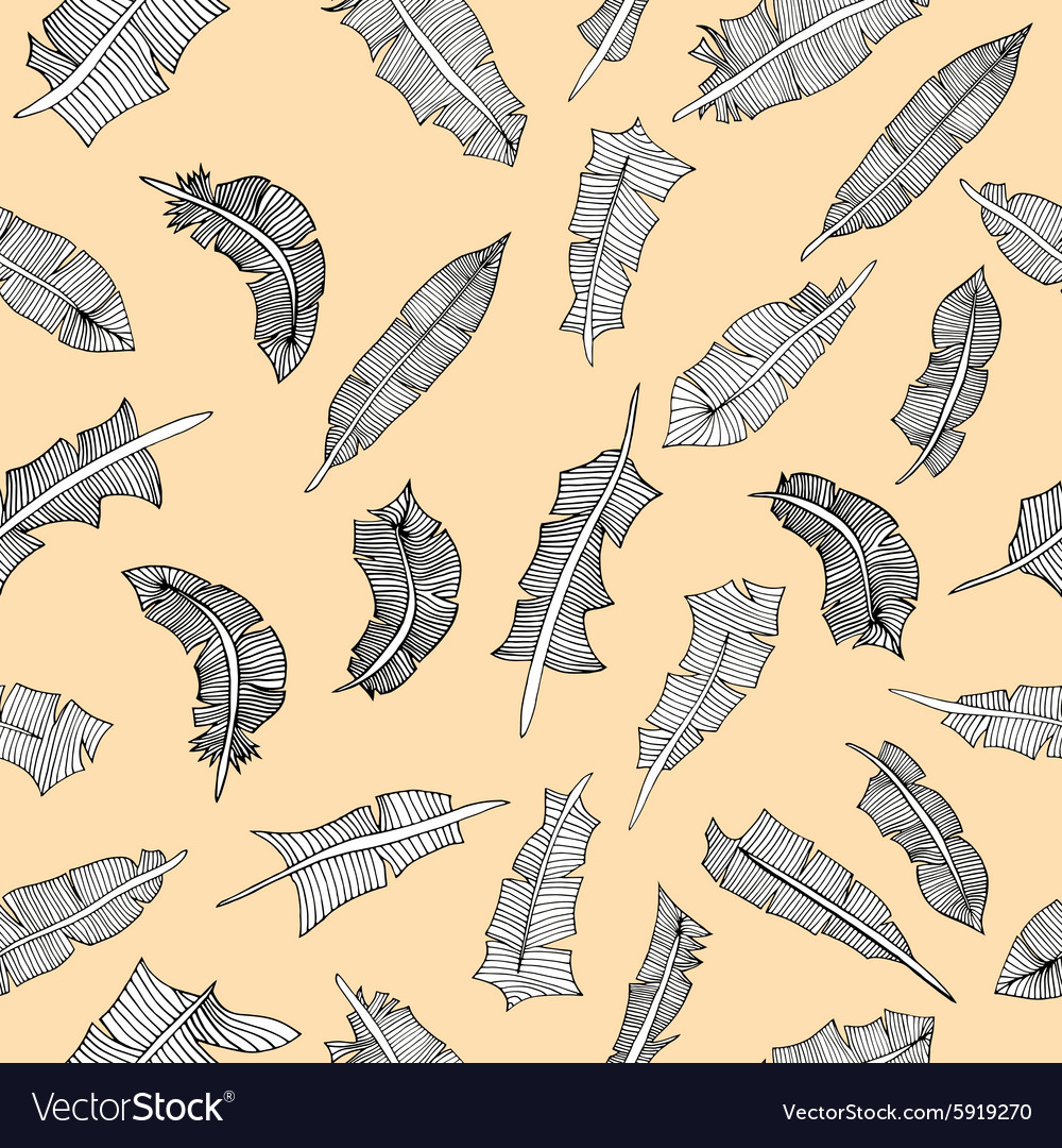 Federn Muster Lizenzfreies Vektorbild - VectorStock