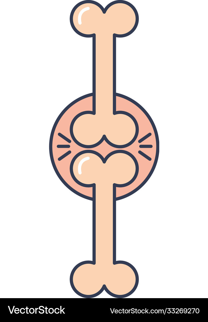 Human body concept bone joint icon line fill Vector Image