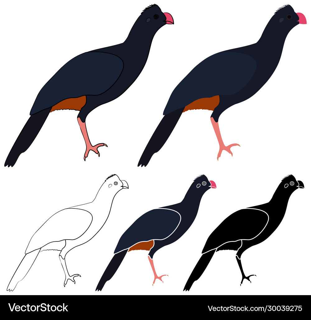 Northeast mutum bird in profile view Royalty Free Vector