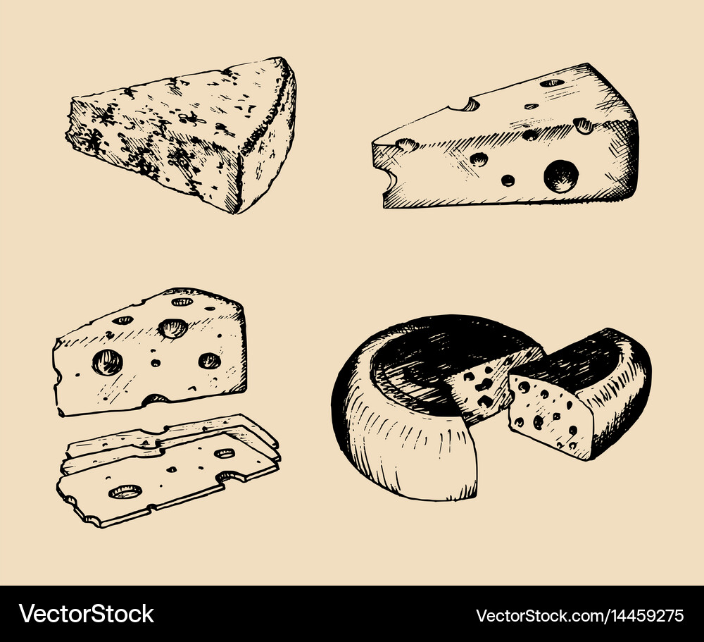 Vintage Cheese Illustration