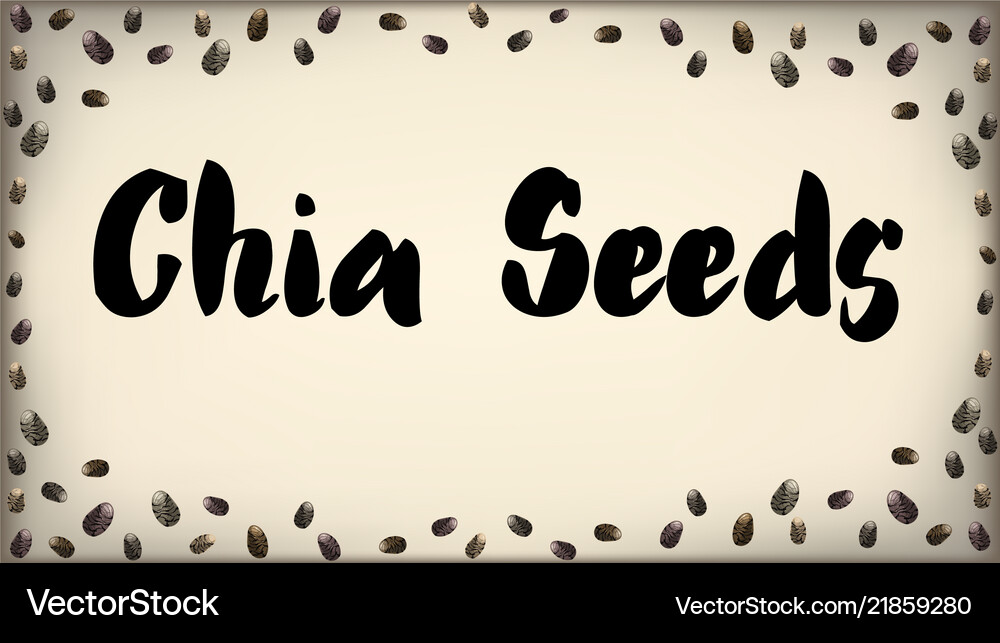 Chia seeds background Royalty Free Vector Image