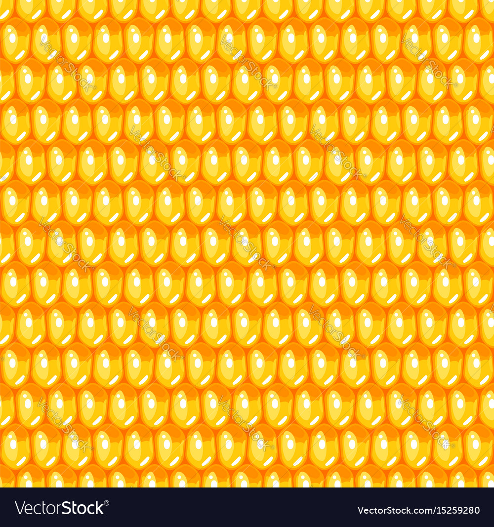 Corn seamless pattern texture Royalty Free Vector Image