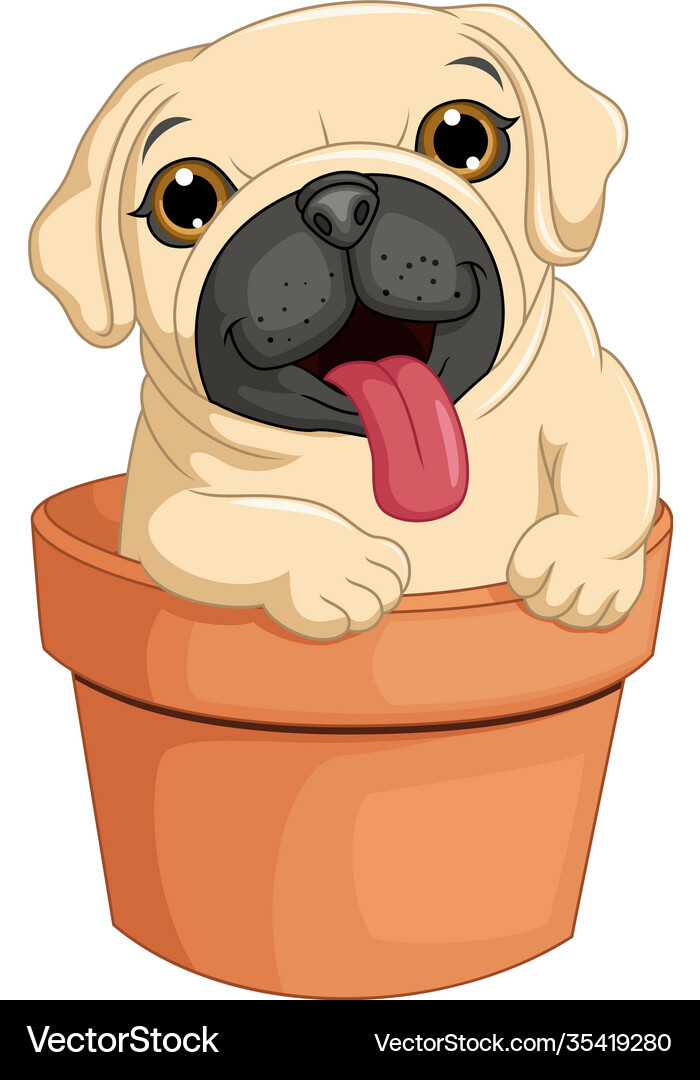 Cute little pug dog inside pot Royalty Free Vector Image