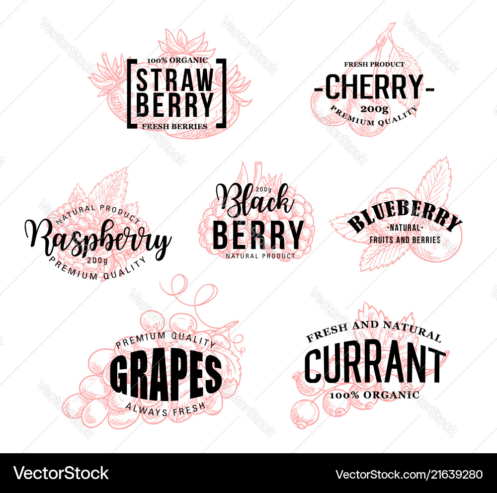Natural berries sketch lettering Royalty Free Vector Image