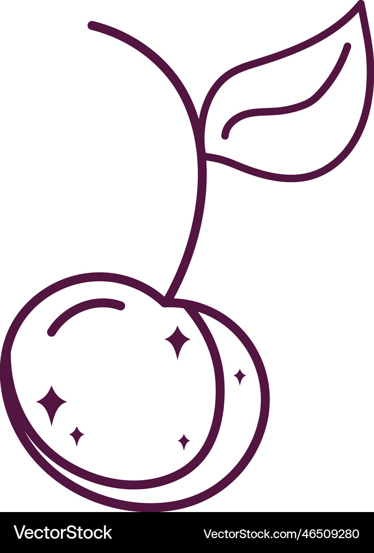 Organic fruit and leaf Royalty Free Vector Image