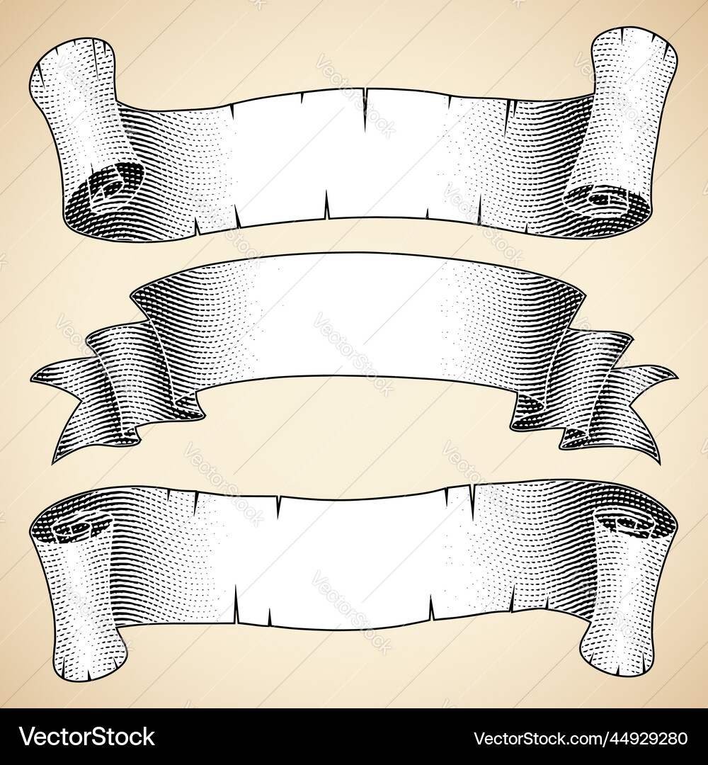 Scratchboard engraved curly paper banner Vector Image