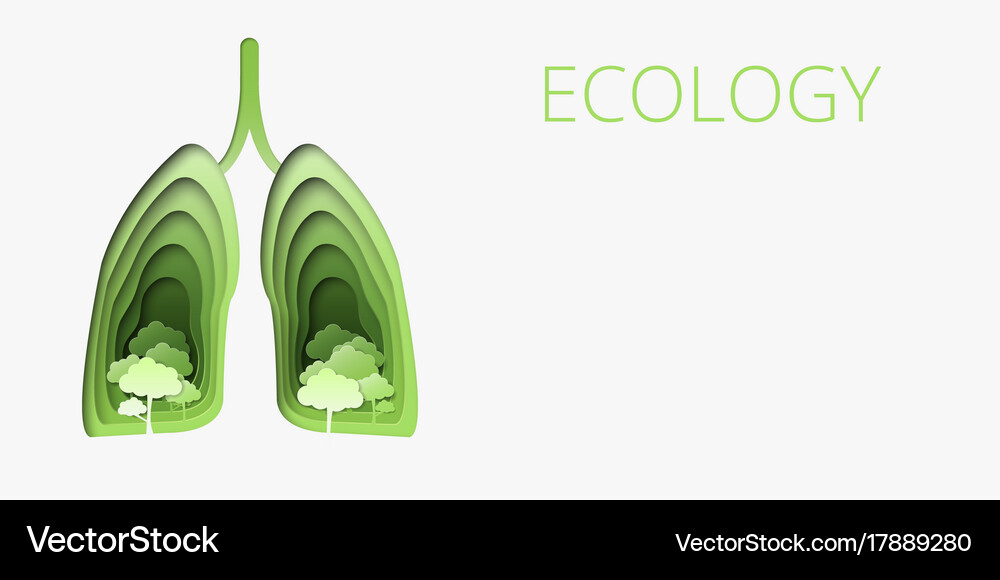 Tree in green healthy lungs abstract paper Vector Image
