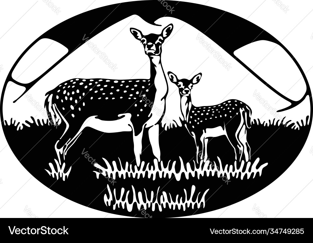 Roe deer deer fallow deer - wildlife wildlife Vector Image