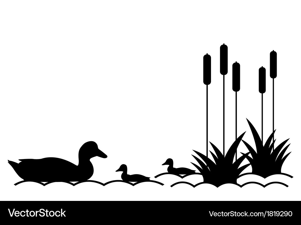 Ducklings in the lake Royalty Free Vector Image