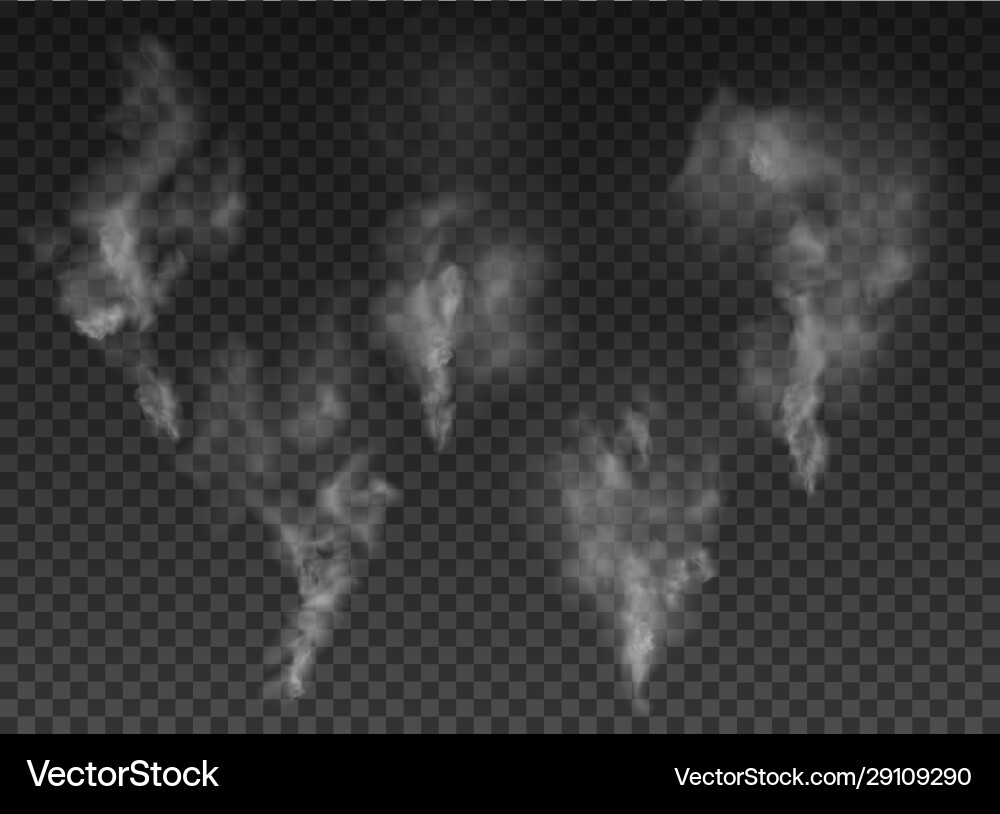 Fog and smoke isolated on transparent background Vector Image