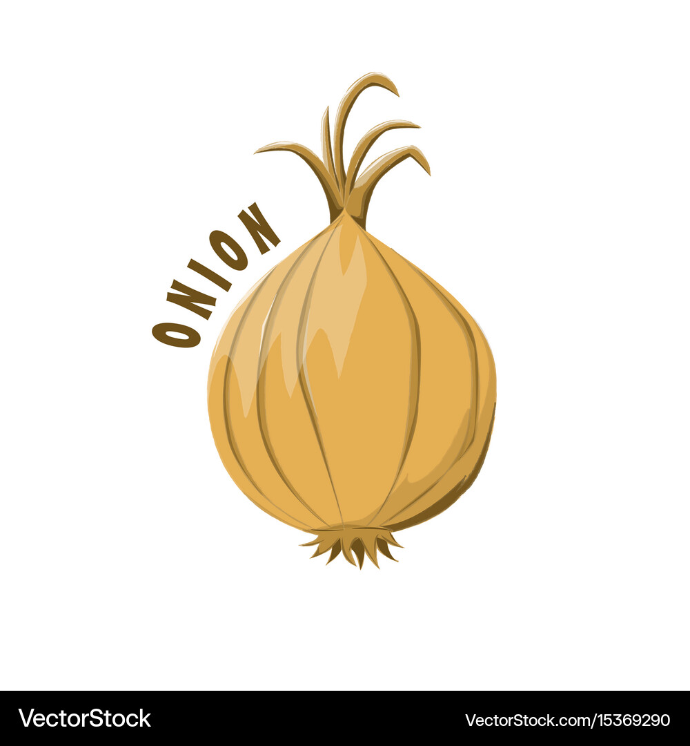 Logo icon design onion farm Royalty Free Vector Image