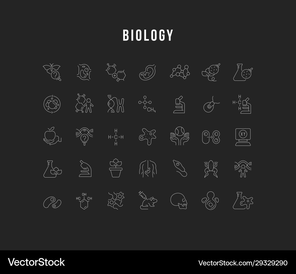 Set line icons biology Royalty Free Vector Image