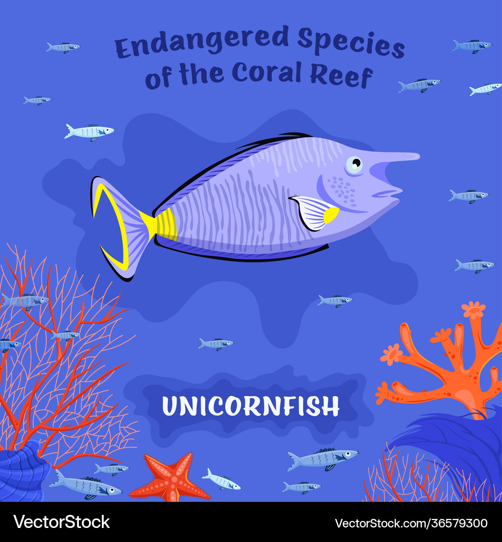 Endangered reef fish Royalty Free Vector Image