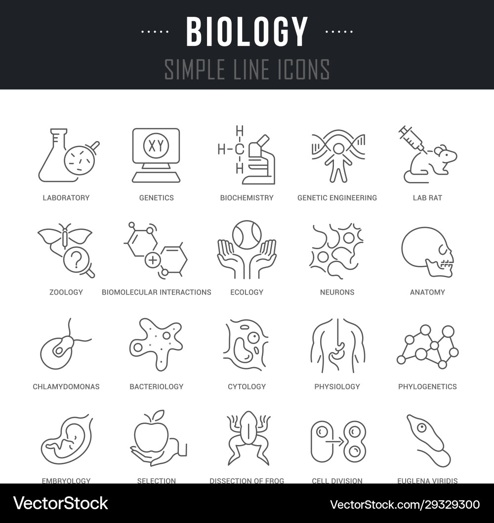 Set line icons biology Royalty Free Vector Image