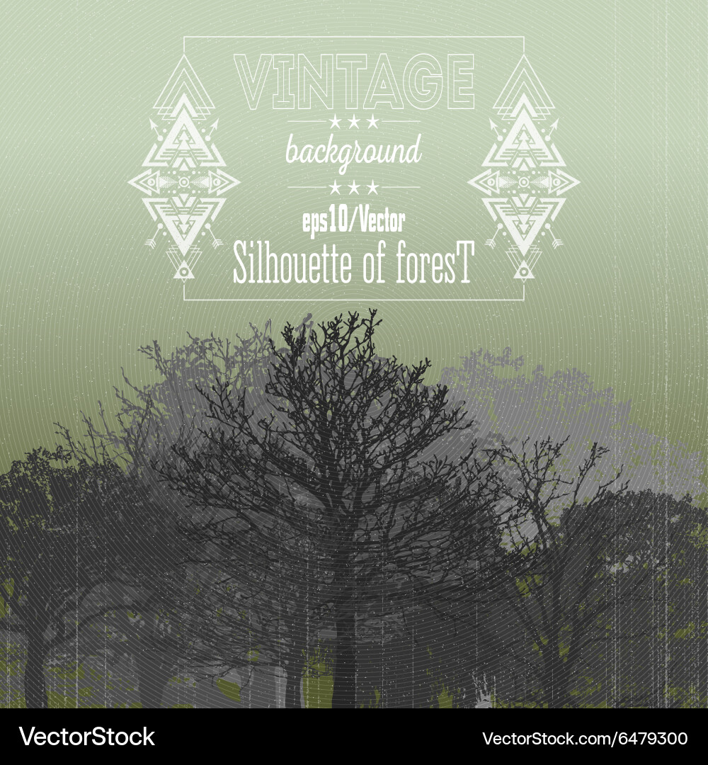 Vintage forest background with tribal style frame Vector Image