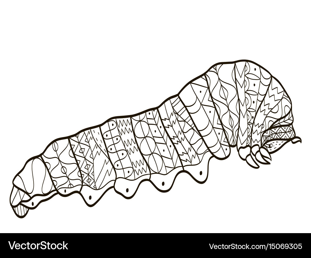 Caterpillar Zentangle Coloring Page Royalty Free Vector