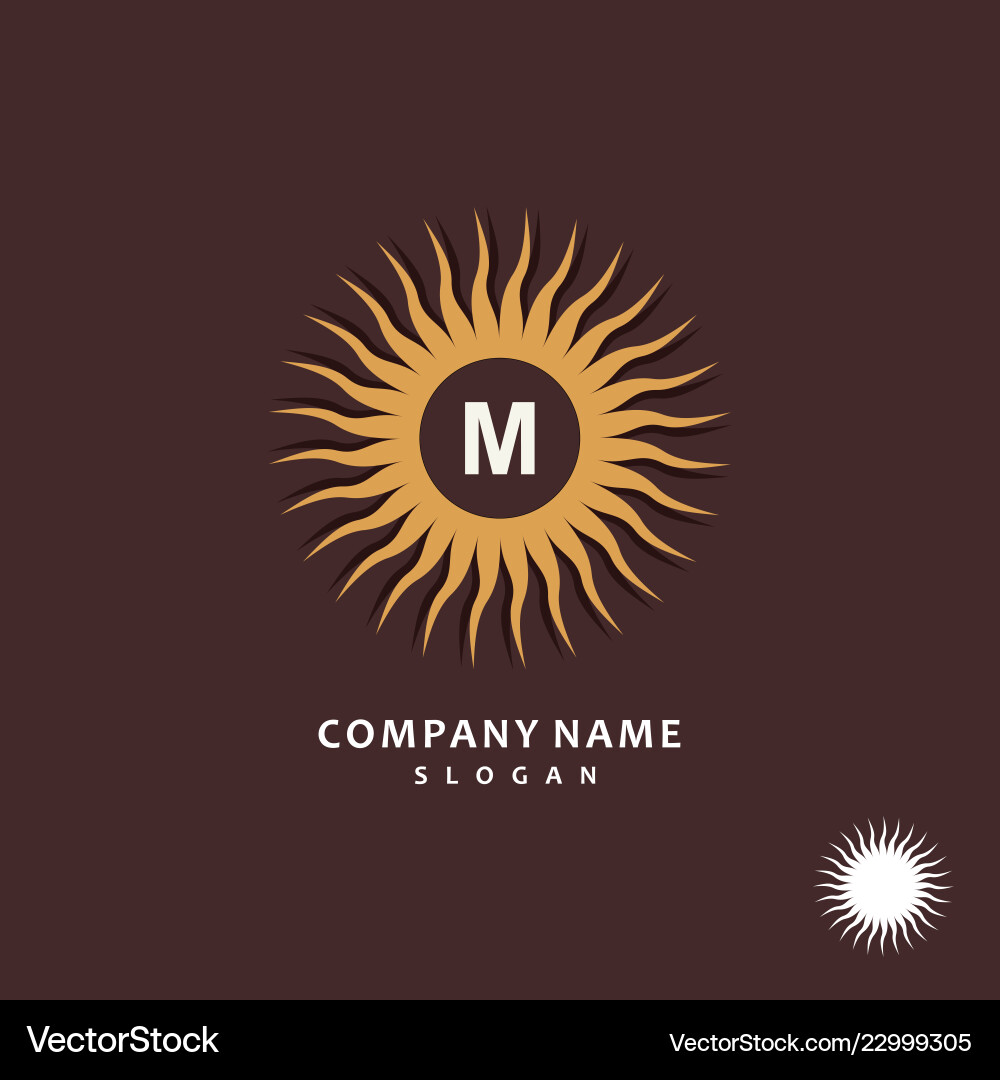 Sun stylish and graceful monogram design Vector Image