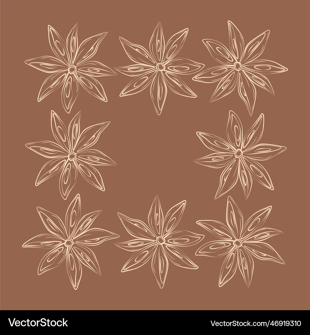 Abstract square frame of outline drawing anise Vector Image