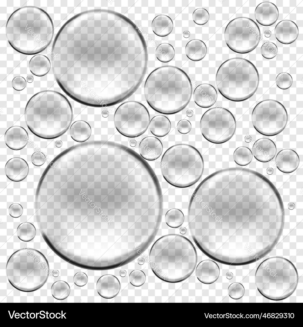 Clear round water bubbles on transparent Vector Image